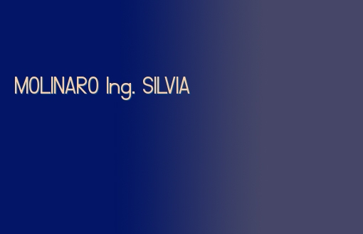 MOLINARO Ing. SILVIA - Edilizia e lavori pubblici - Trento (TN)